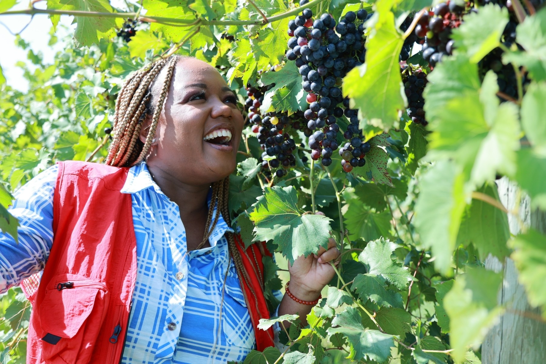 Love Cork Screw’s Chrishon Lampley: For the Love of Wine - AWIS