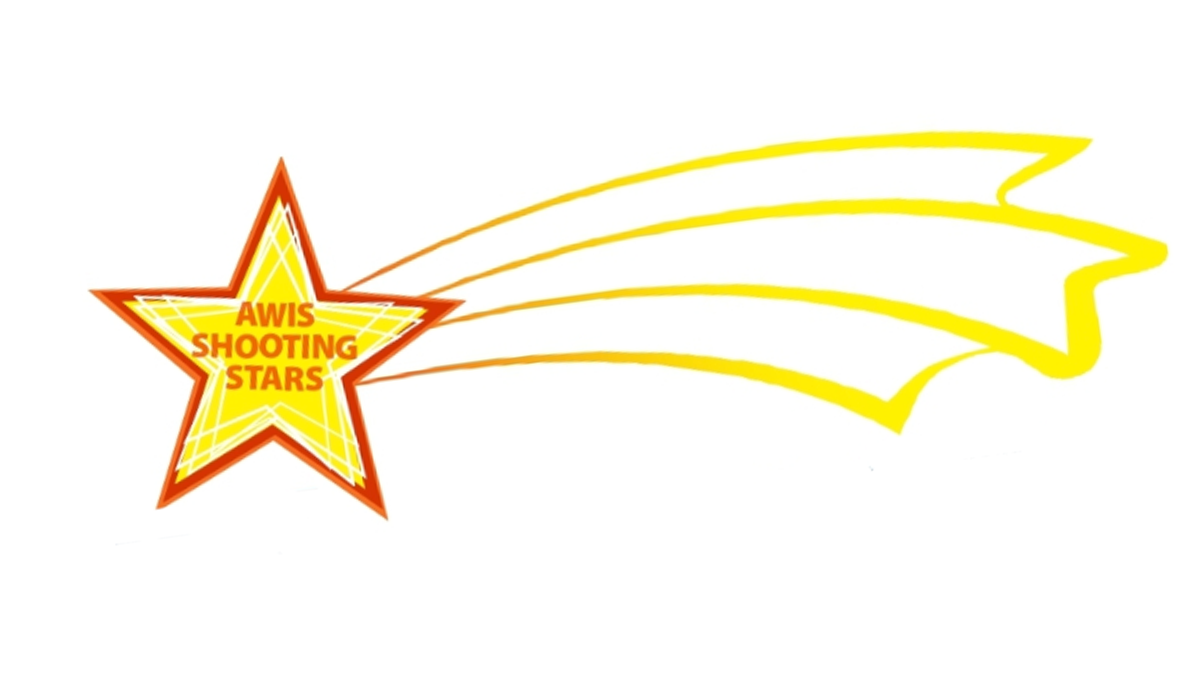 AWIS Announces 'Shooting Star' Chapter Awards for stellar 2020 outreach ...