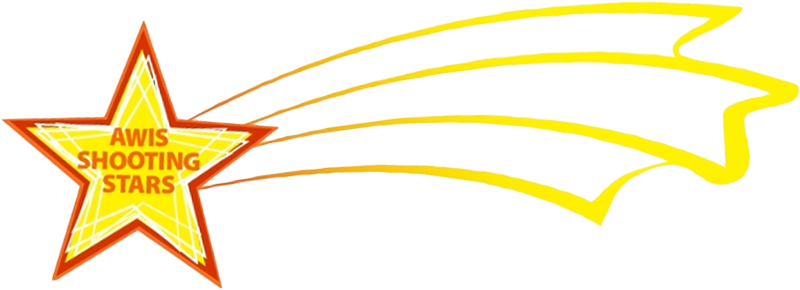 AWIS Shooting Star Chapter Awards - AWIS