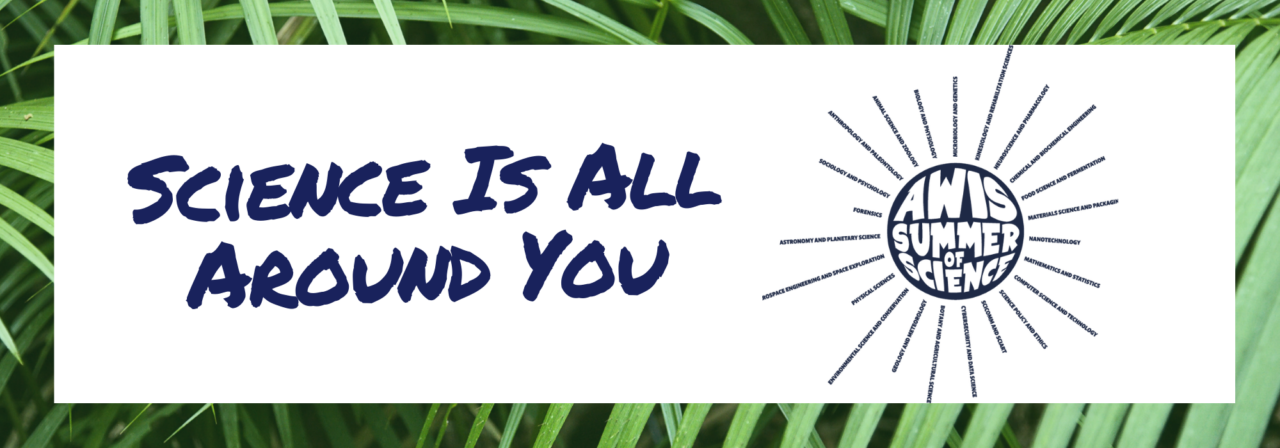 Summer of Science: Appreciate the contributions of scientists in ...