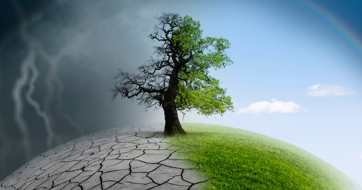 Calculating a Path to NetZero - AWIS