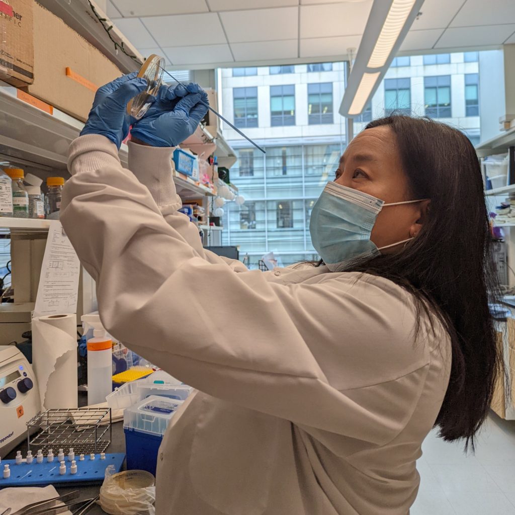 Invest in yourself (and your career) with an AWIS membership