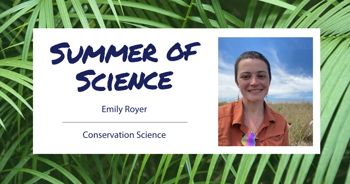 Emily Royer finds her passion in conservation science